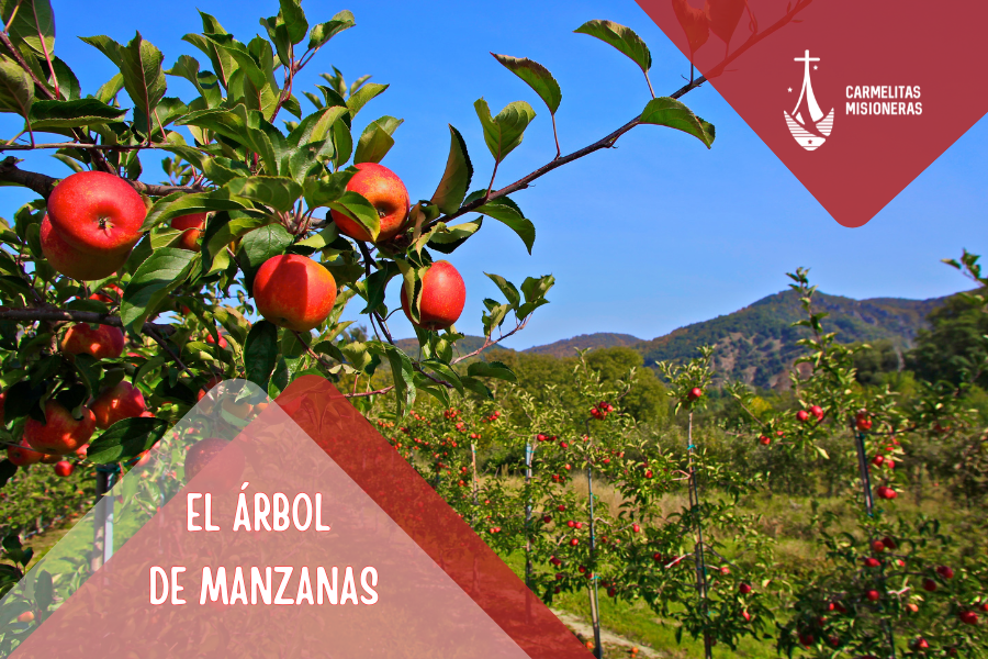 El árbol de manzanas - Carmelitas Misioneras